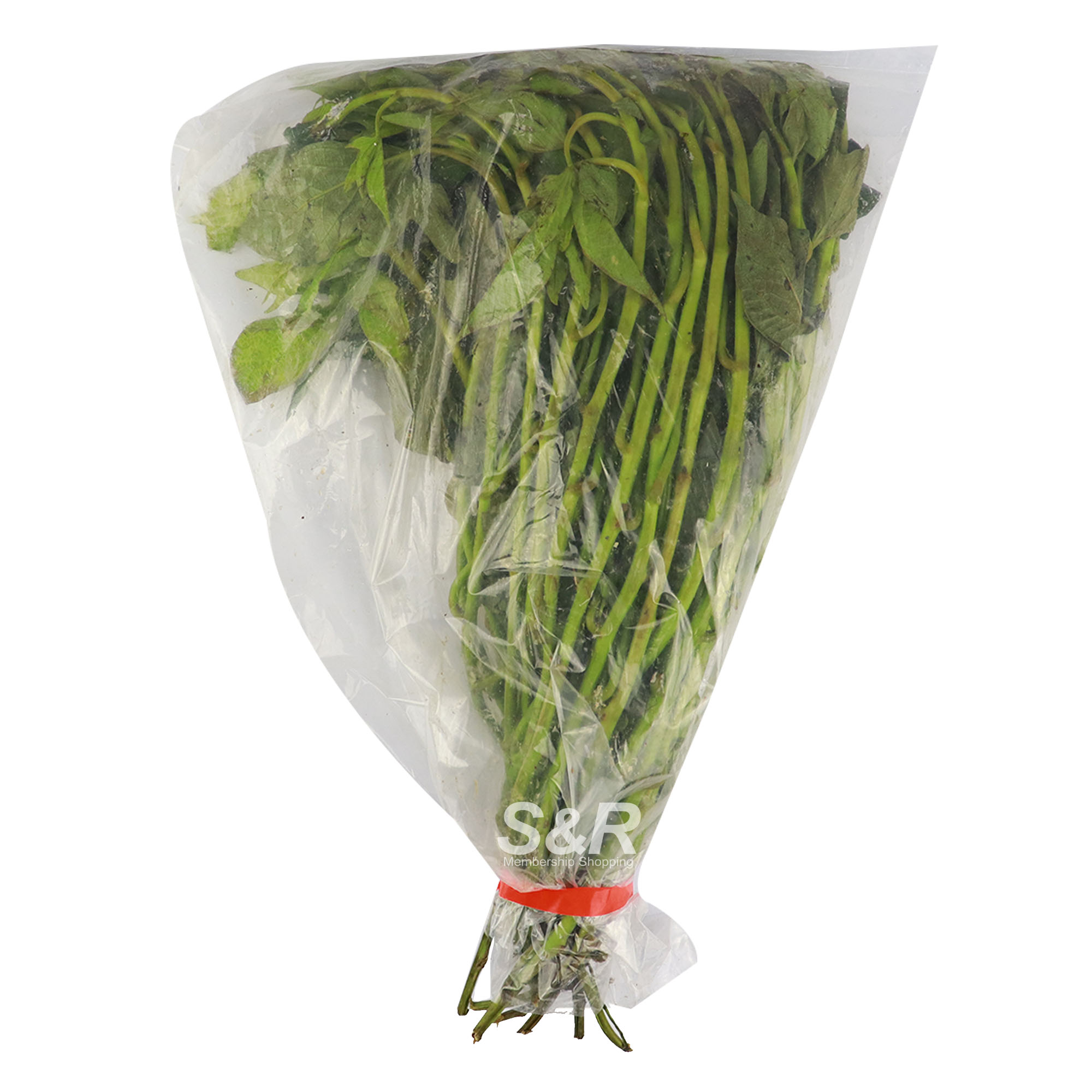 Welcome to S&R Shopping | S&R Shopping