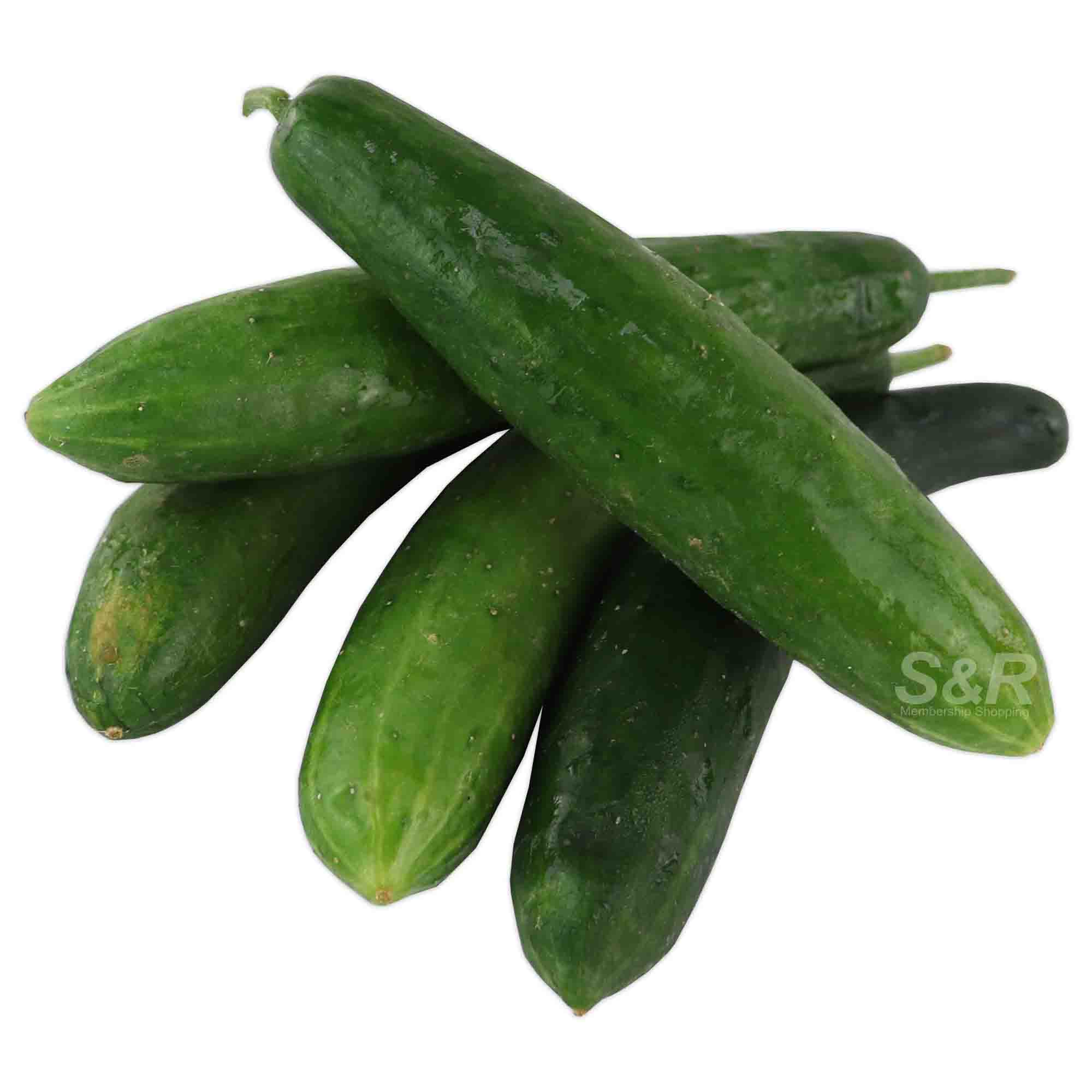 Welcome to S&R Shopping | S&R Shopping