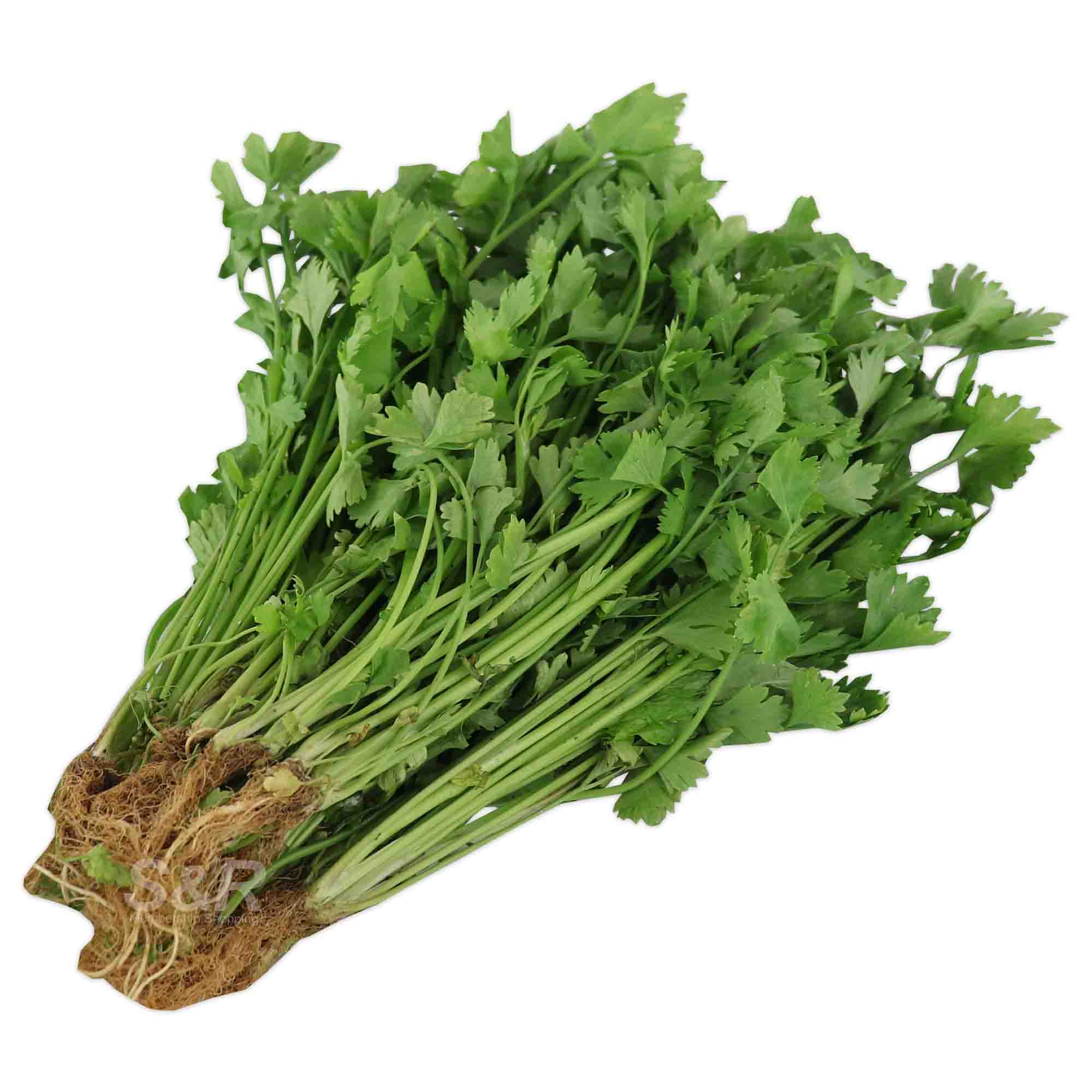 Welcome to S&R Shopping | S&R Shopping