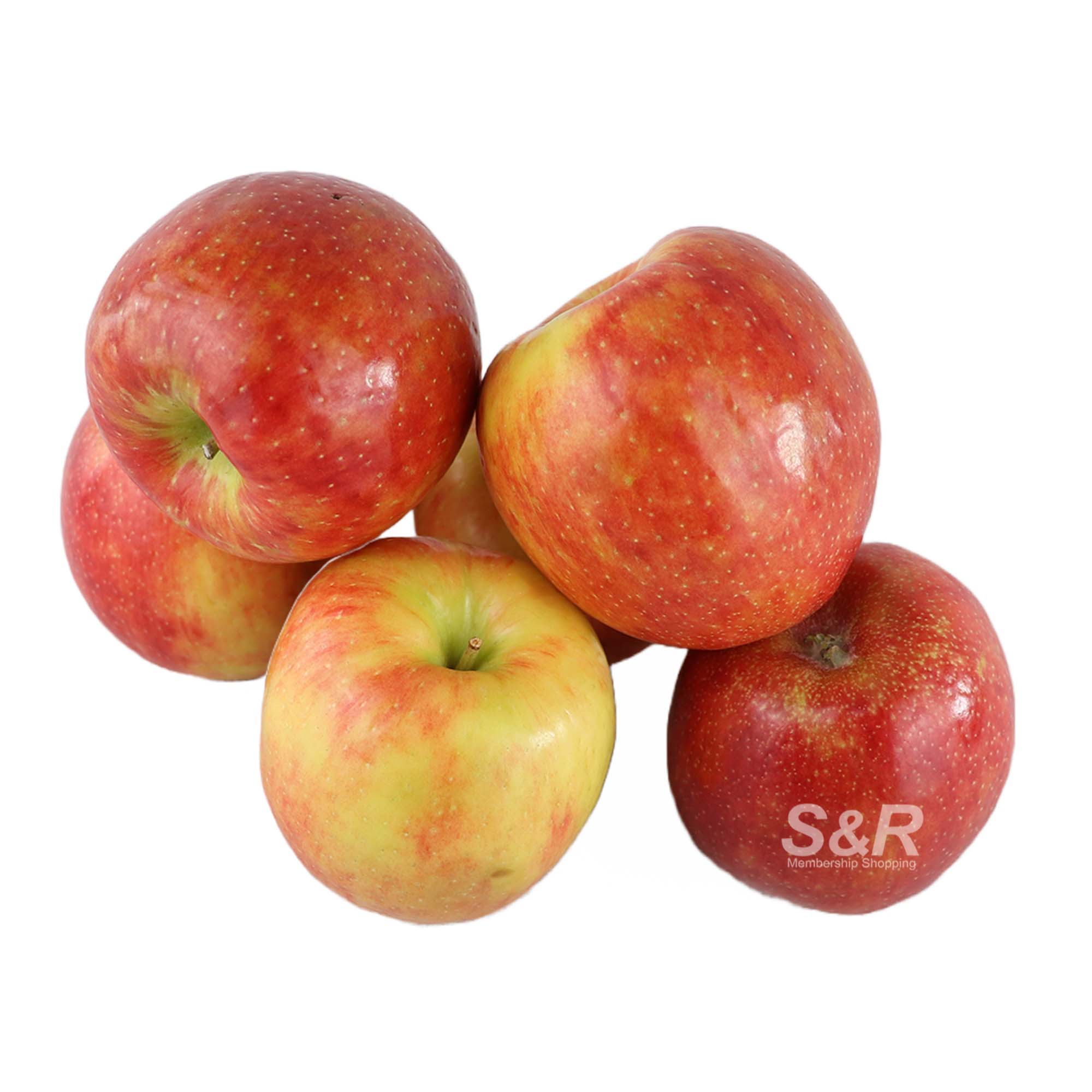 Welcome to S&R Shopping | S&R Shopping