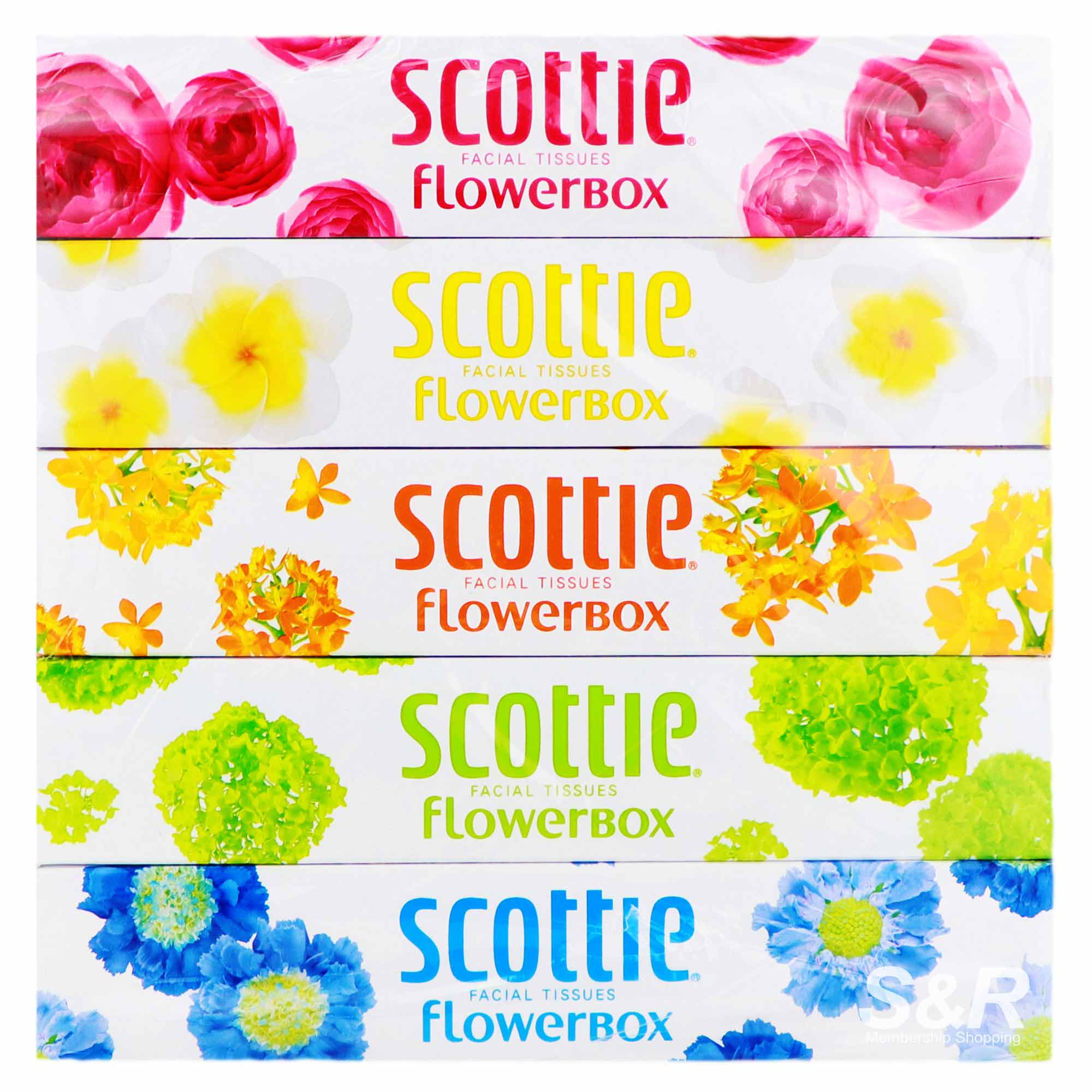 Scottie Flower Box Facial Tissues 5 packs