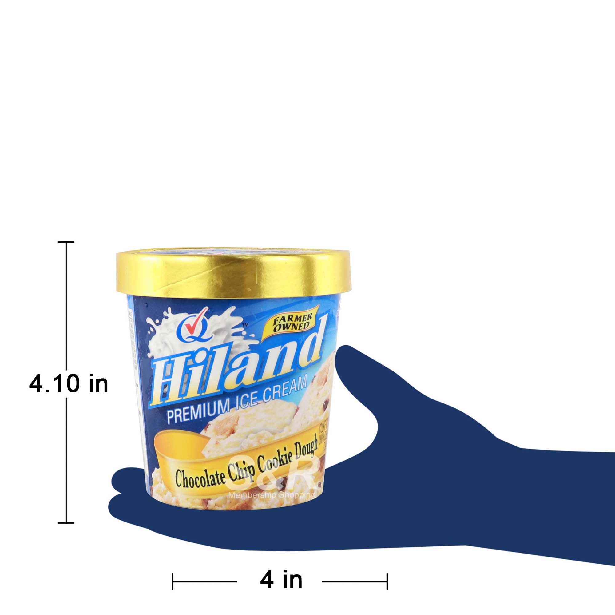 Hiland Premium Ice Cream Chocolate Chip and Cookie Dough Flavor 473mL