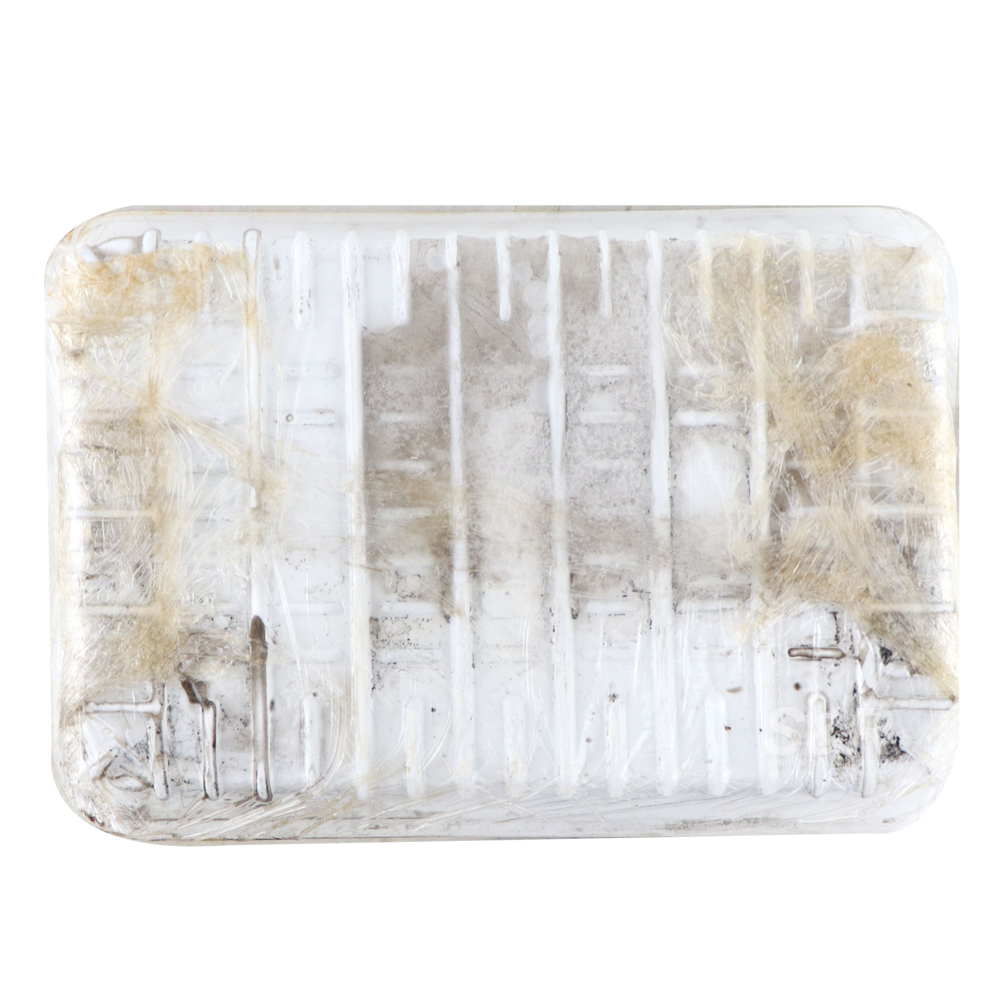 Welcome to S&R Shopping | S&R Shopping