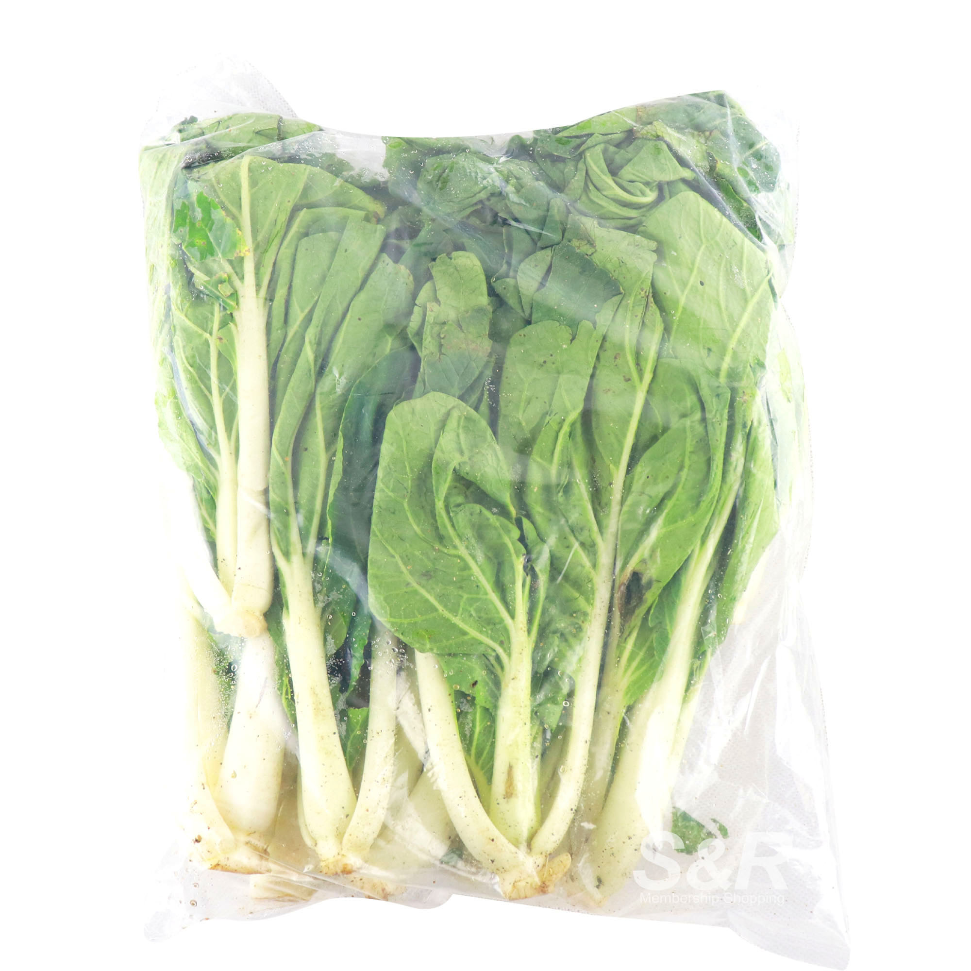 Welcome to S&R Shopping | S&R Shopping